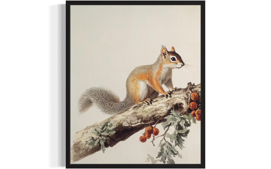 Squirrels Poster Art Print, Animals Wall Art Painting Picture Artwork ...