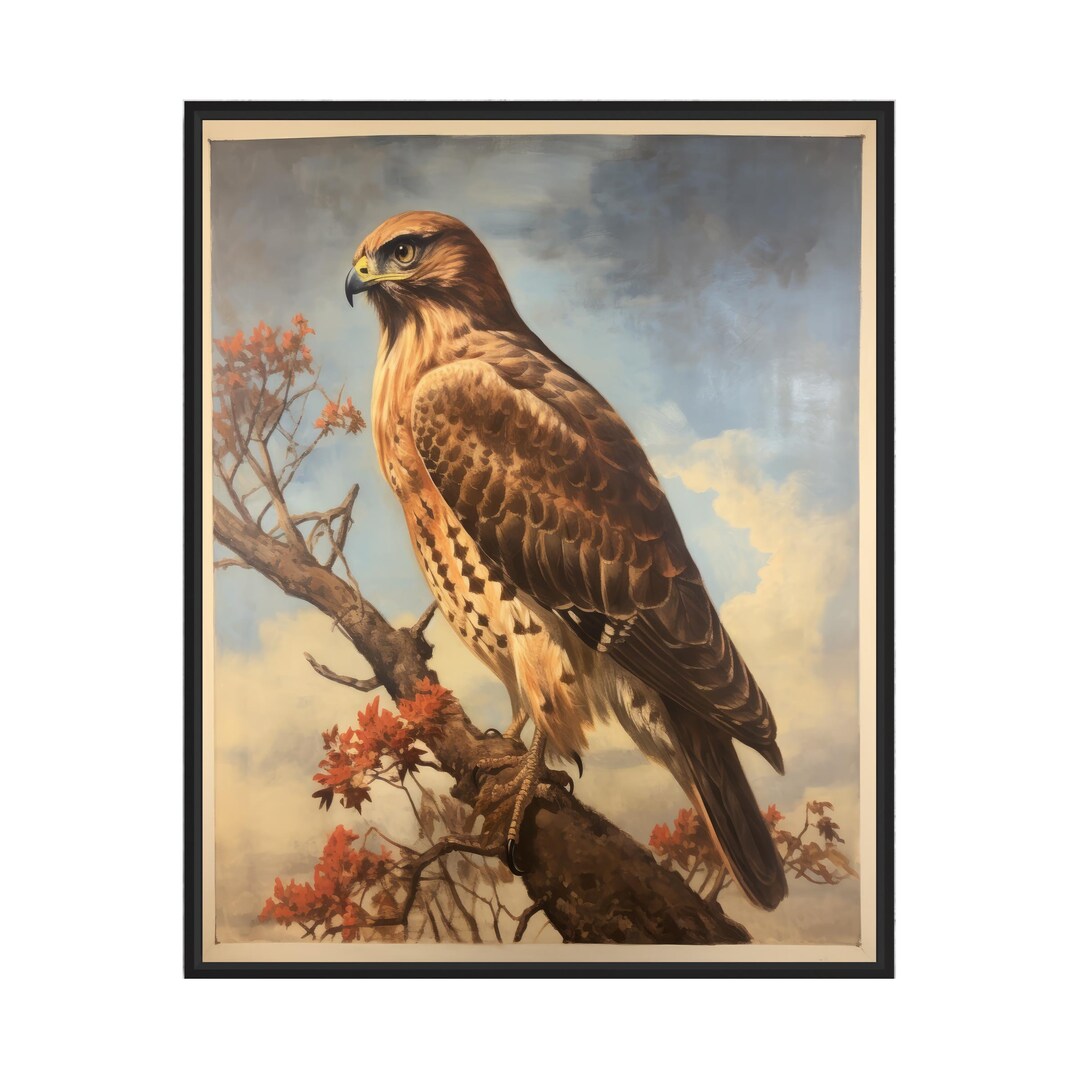 Red Tailed Hawk Art Print Poster, Vintage Bird Wall Art Painting, Bird ...