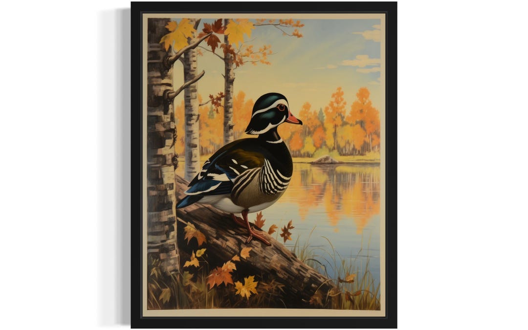 Wood Duck Poster Art Print, Bird Waterfowl Wall Art Painting Picture ...