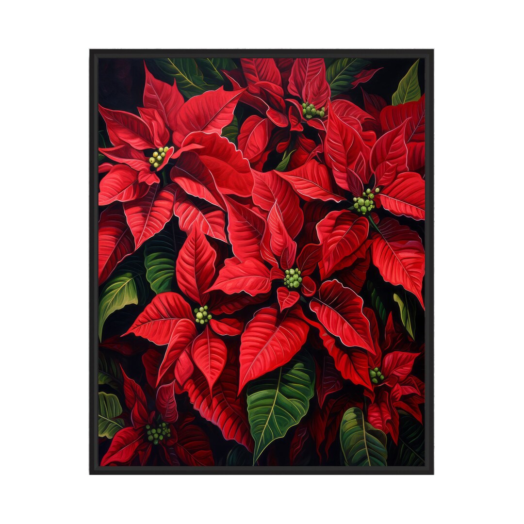 Poinsettias in Bloom Poster Art Print, Holiday Christmas Wall Decor ...