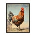Rhode Island Red Chicken Art Print Poster Vintage Bird Wall - Etsy