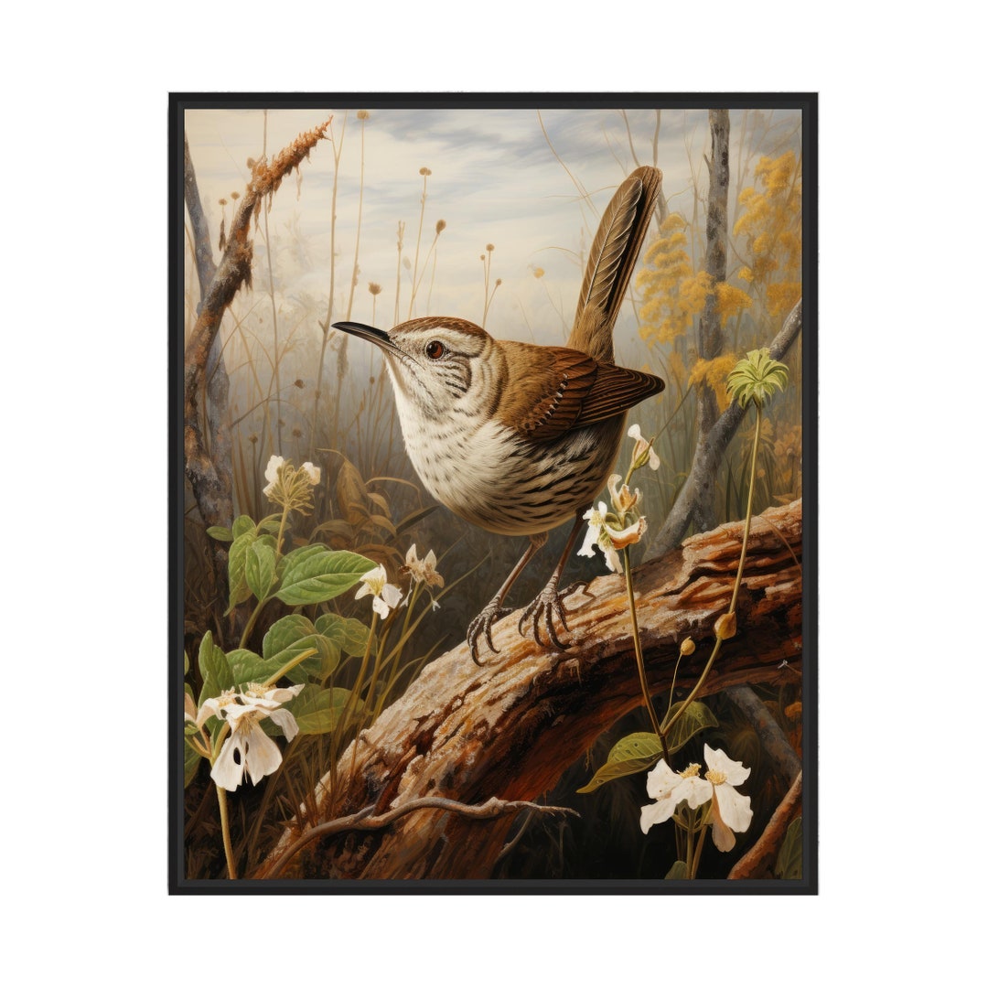 Bewick's Wren Art Print Poster, Vintage Bird Wall Art Painting, Bird ...