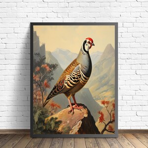 Chukar Partridge Art Print Poster, Vintage Bird Wall Art Painting, Bird ...