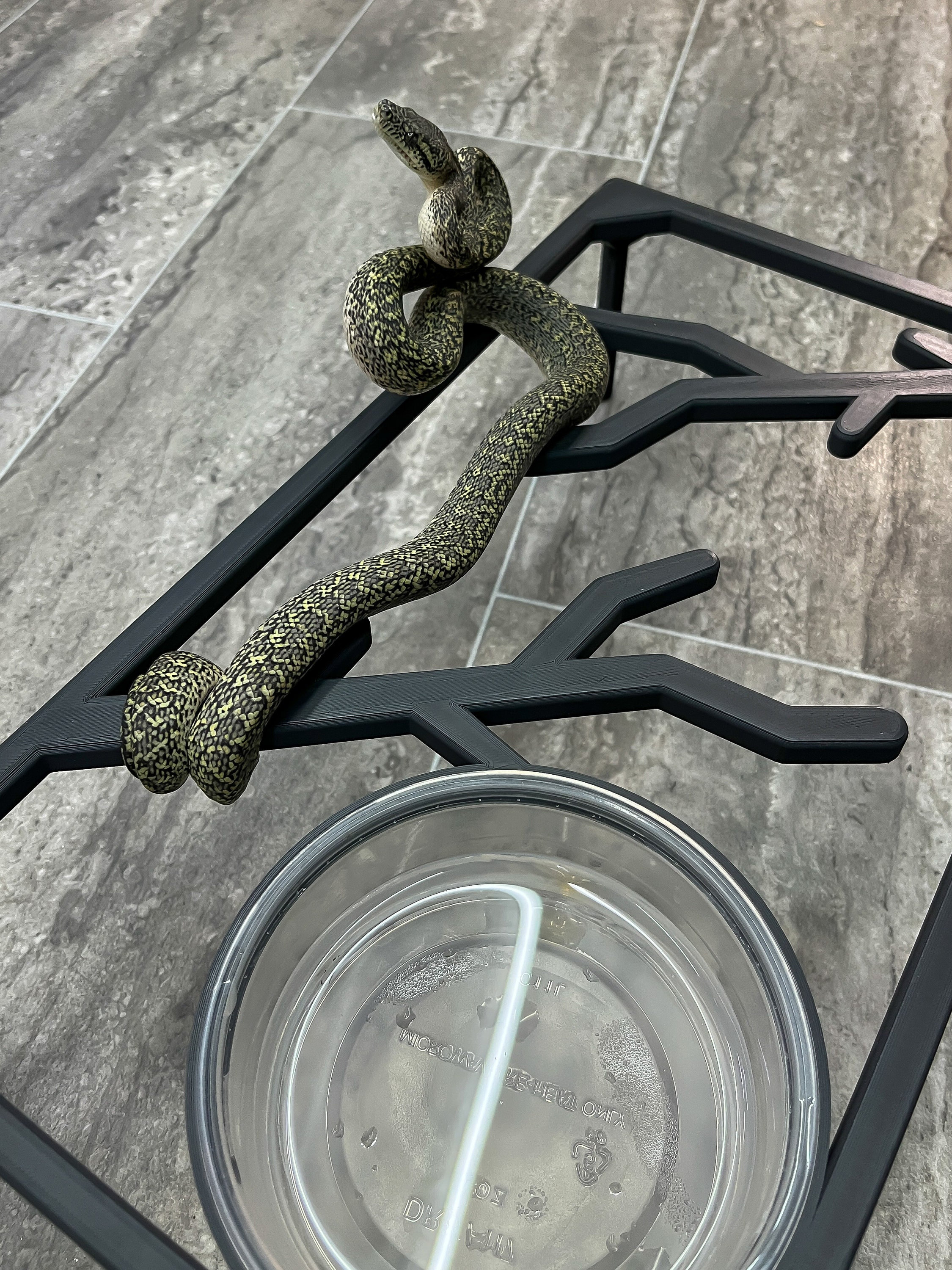 Perchcraft Snake Perch - Etsy