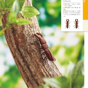 Japanese Crochet Book - Crochet Insect Picture Book (2022) (PDF) - Etsy