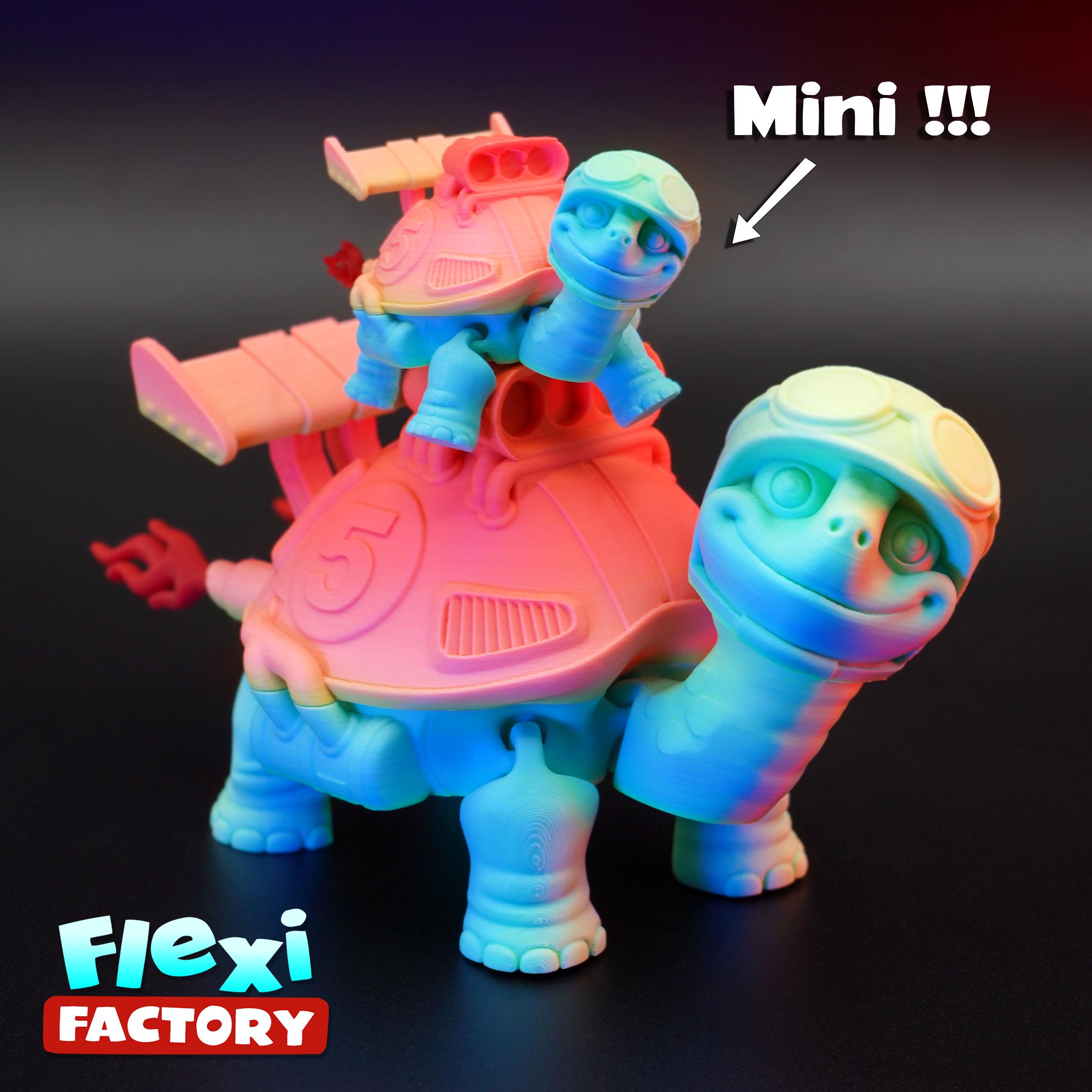 Flexi Factory Racing Tortoise Box With 3MF Files Included! - Etsy