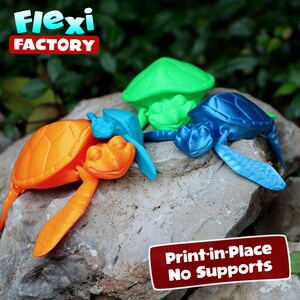 Flexi Factory Print-in-place Turtle 3D STL and 3MF Files for Printing ...