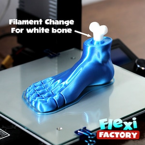 Flexi Factory Print-in-place Foot- STL for 3D Printing - Etsy