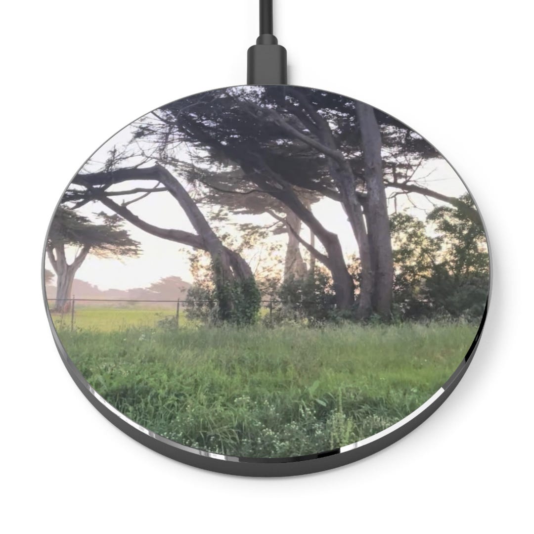 Nature-inspired Wireless Charger, Eco-friendly Charging Pad, Fast ...