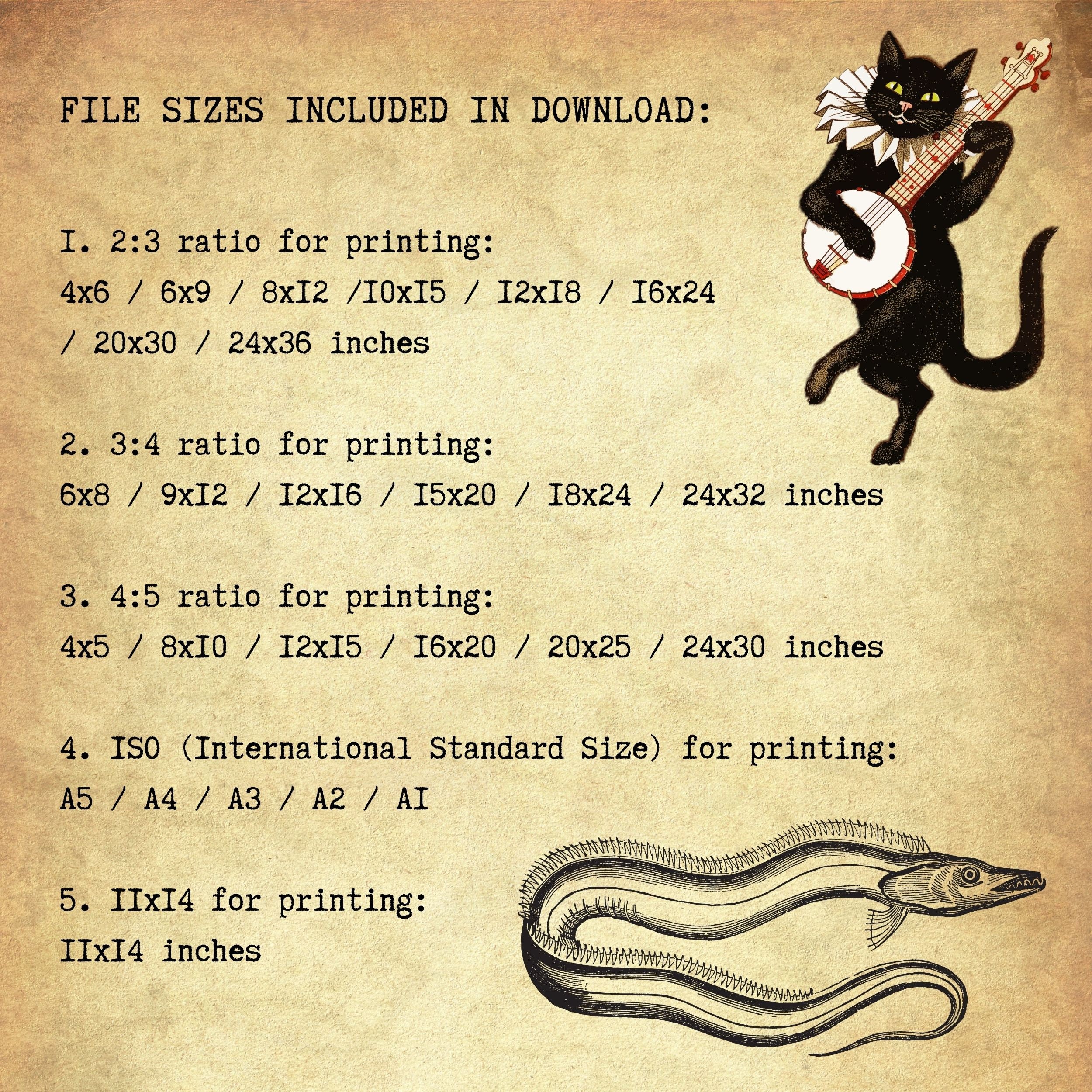 American Game Fish Poster, Vintage Fish Wall Art, Vintage Book Page ...