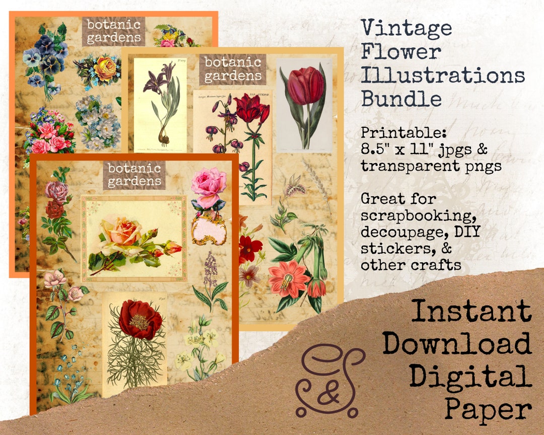 Vintage Flower Digital Paper, Boho Ephemera, Vintage Clip Art Images ...