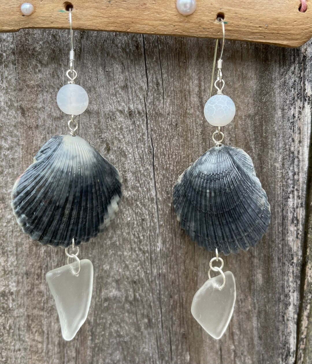 Scallop Earrings - Etsy