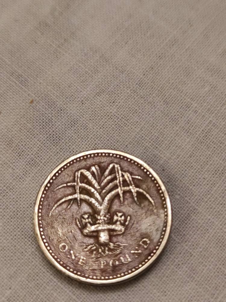 RARE 1985 One Pound Coin Gales Lero PLEIDIOL WYF I'M Gwlad Upside Down ...