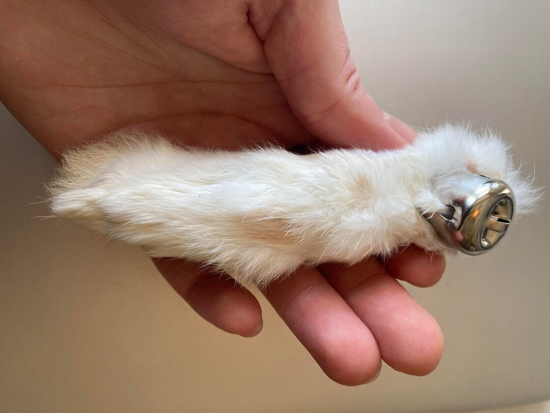 Rabbit's Foot Real - Etsy