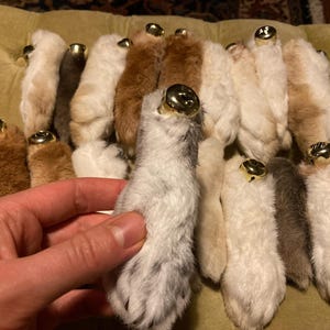 Rabbit’s Foot Real - Etsy