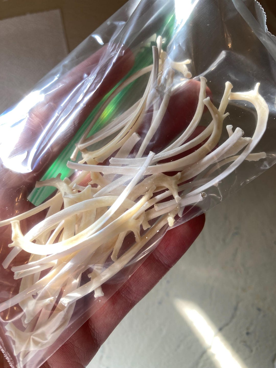 Rabbit Ribs Real Bones - Etsy