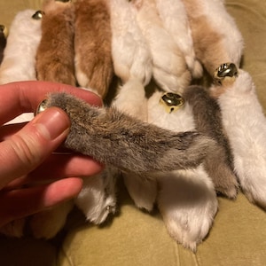 Rabbit’s Foot Real - Etsy