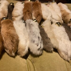 Rabbit’s Foot Real - Etsy