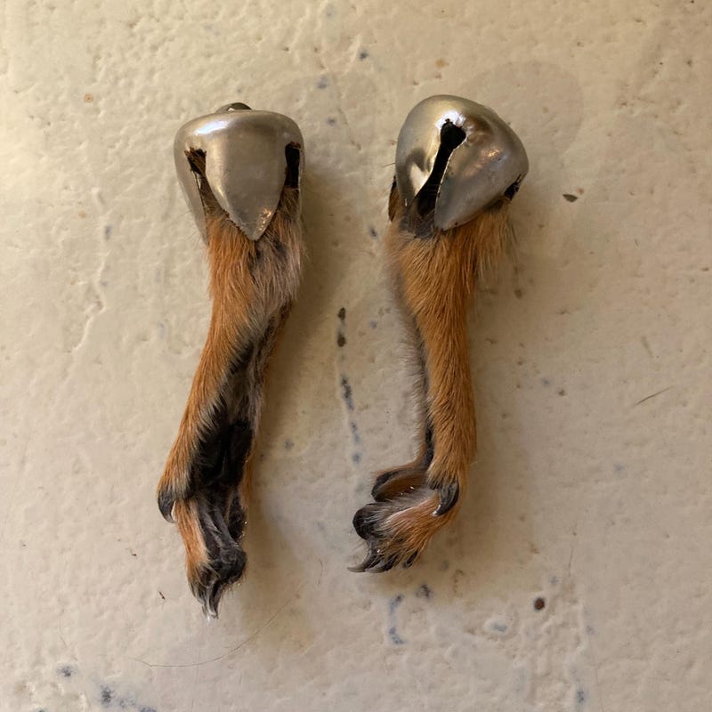 Squirrel Feet - Etsy