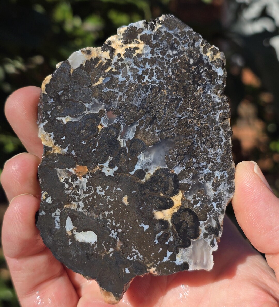 Psilomelane Plume Agate Slab: Blue & Yellow Chalcedony From Mexico - Etsy