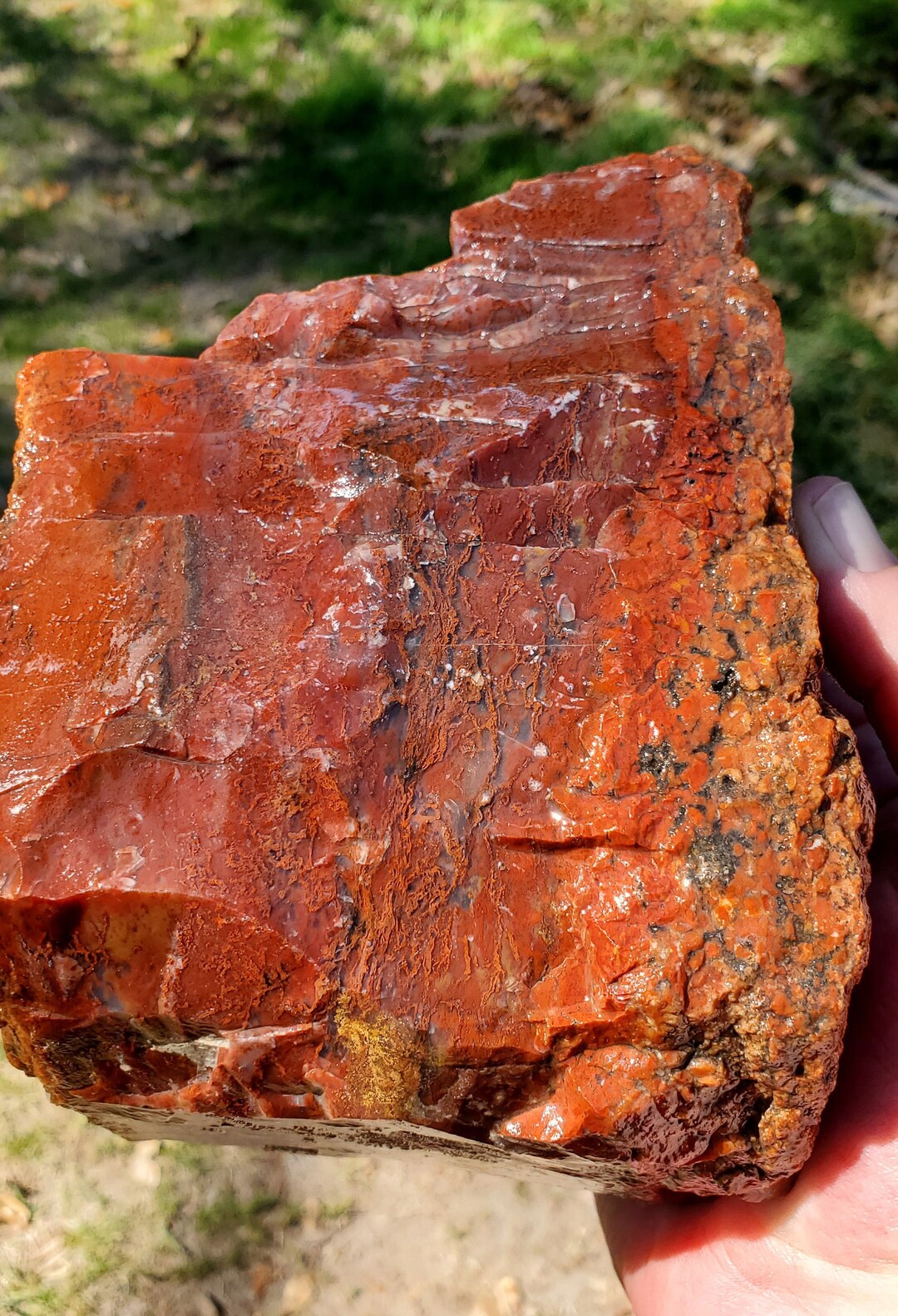 6 POUND Maury Mountain or Mexican Plume Agate Rough Cutter or - Etsy