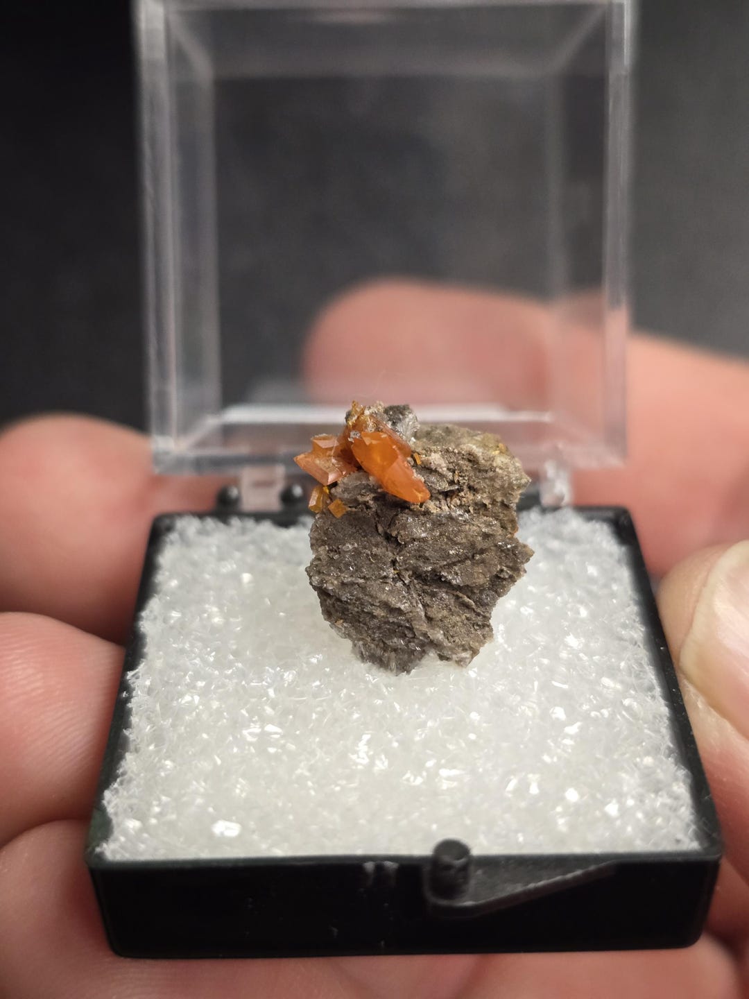 Rowley Mine Wulfenite Thumbnail: Red Blades on Tenorite Display Piece ...