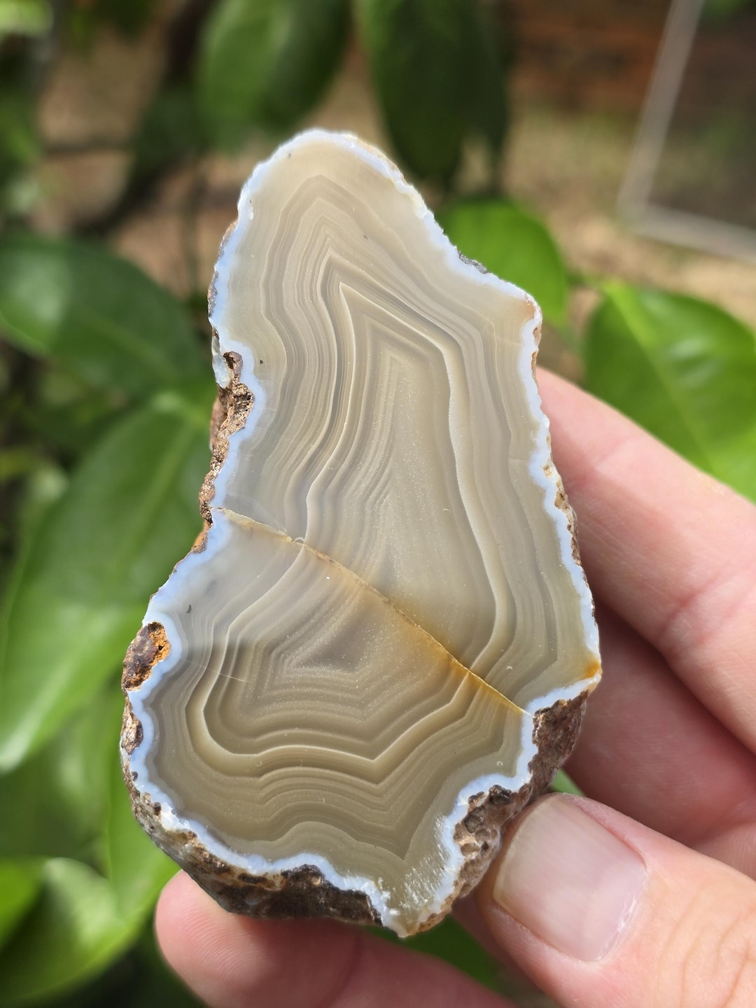 Calandria Agate | Fully-polished Mexican Agate - Agate Display Piece ...