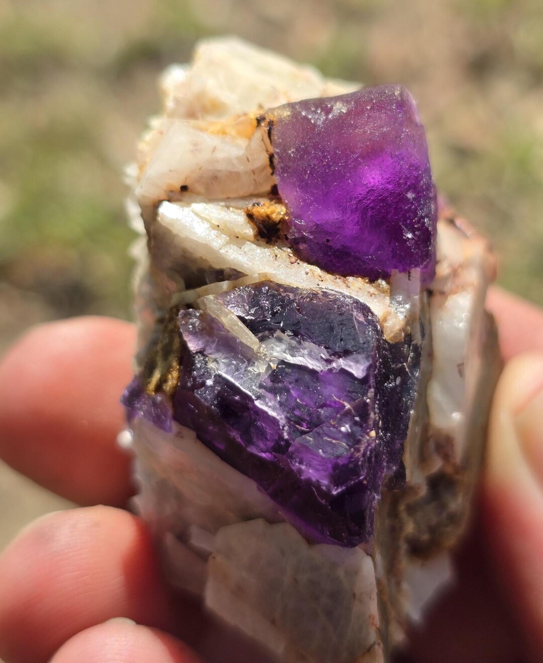 Fluorite in Barite Specimen W/ Stand, UV Reactive Fluorite in Barite ...
