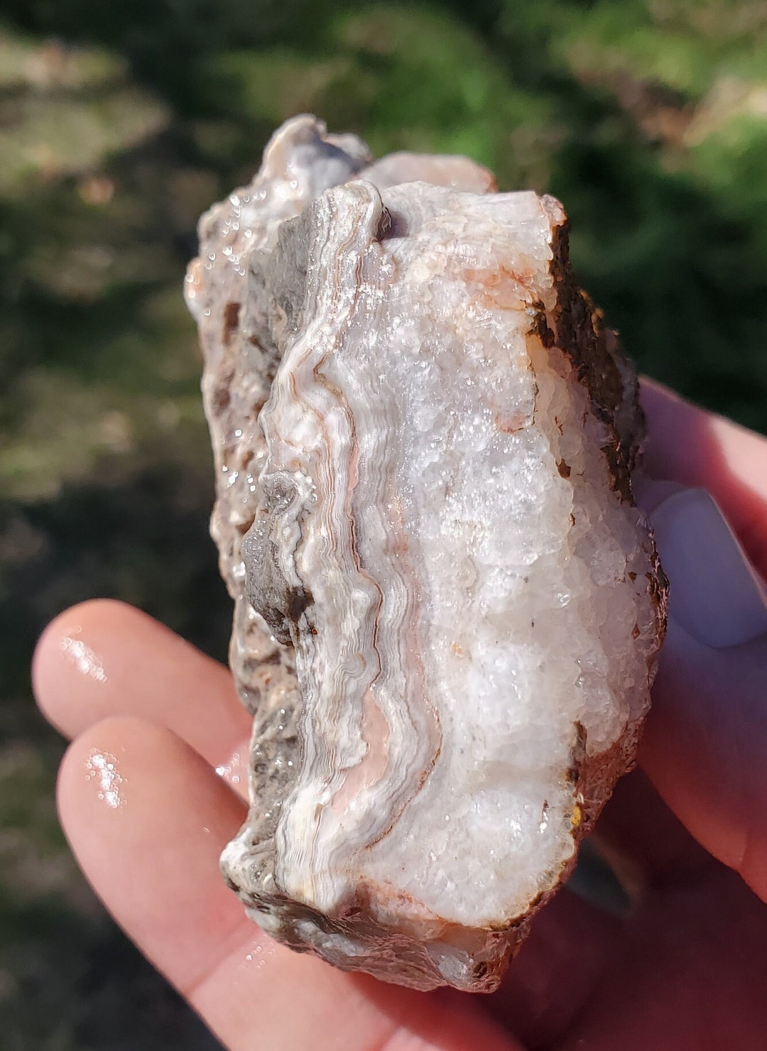 Rough Mexican Crazy Lace Agate Cutter Display Piece. Old-stock - Etsy