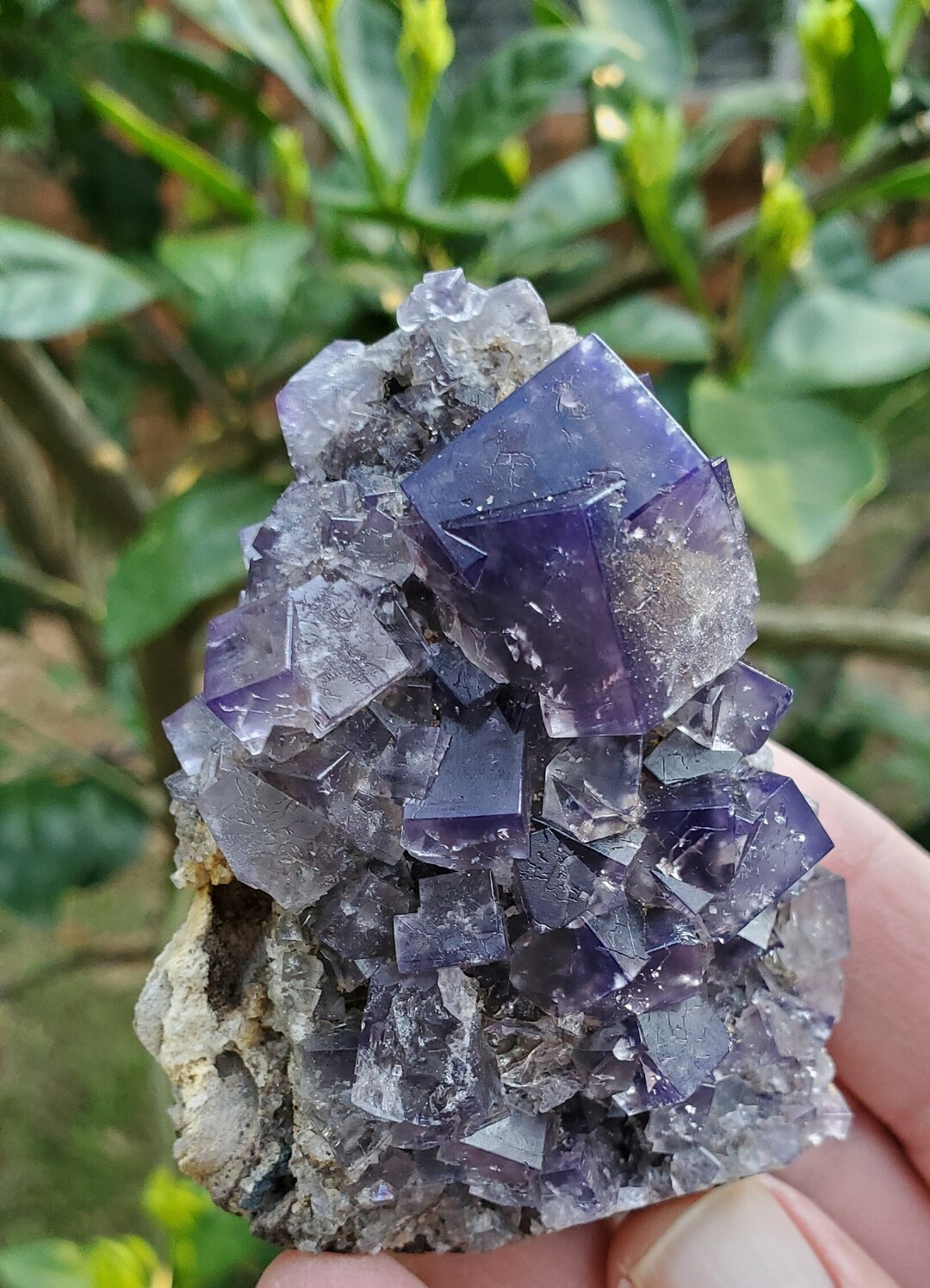 Color-change Purple Rain Pocket, Lady Anabelle Mine Fluorite W/stand ...