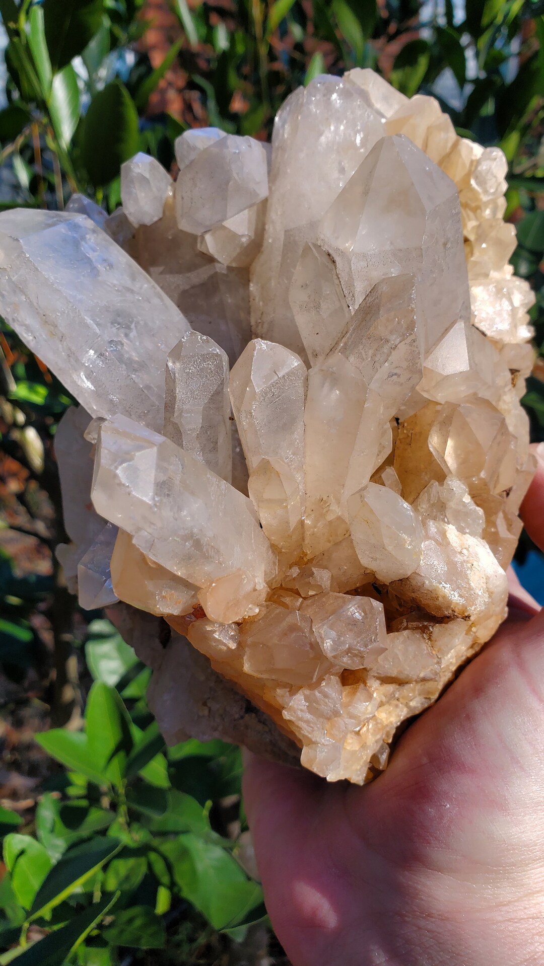 African Quartz Point Cluster With Caves and Vugs. Monster 7 Pound ...