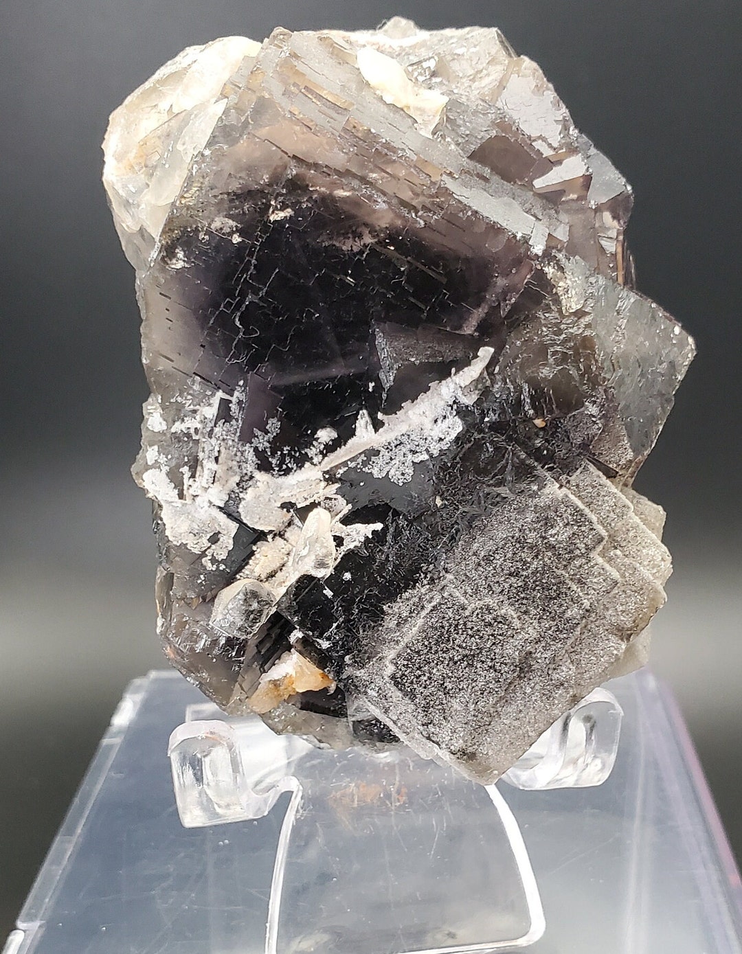 Fluorite Black Rose Fluorite, Uv-reactive Chinese Fluorite With Stand ...