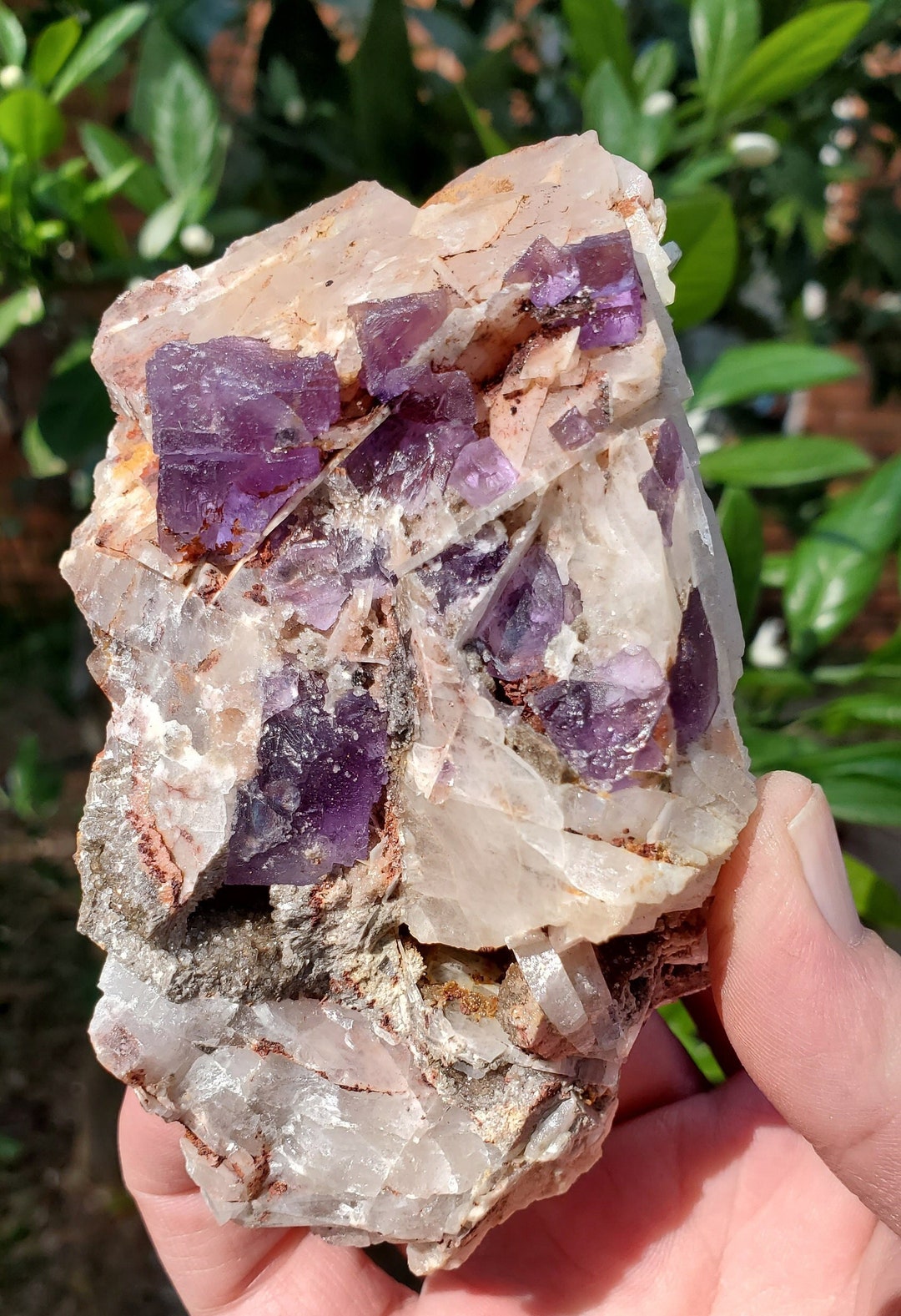 Fluorite in Barite Specimen W/ Stand, UV Reactive Fluorite in Barite ...