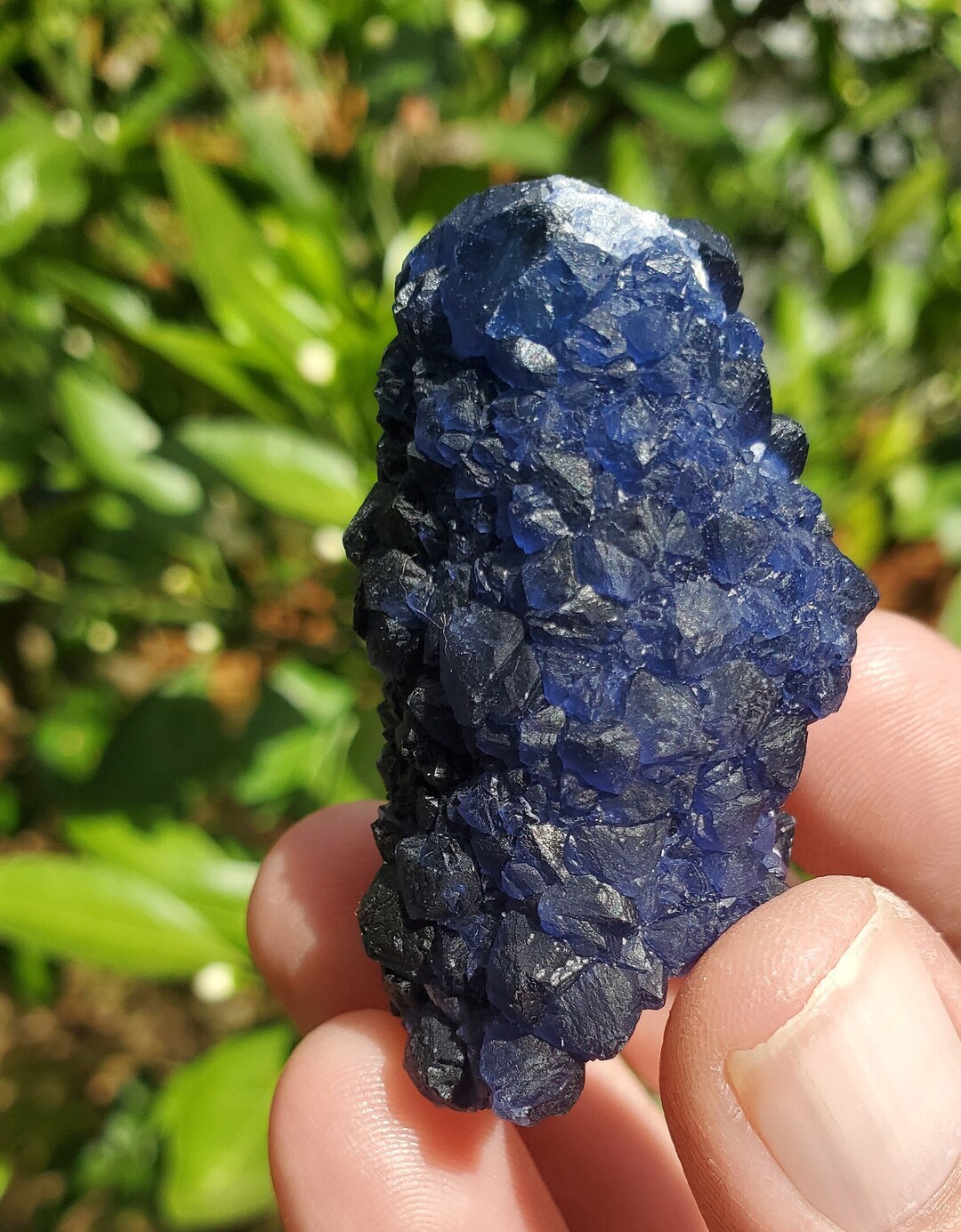 Blueberry Fluorite Etched Botryoidal Coated Fluorite Over Quartz From ...