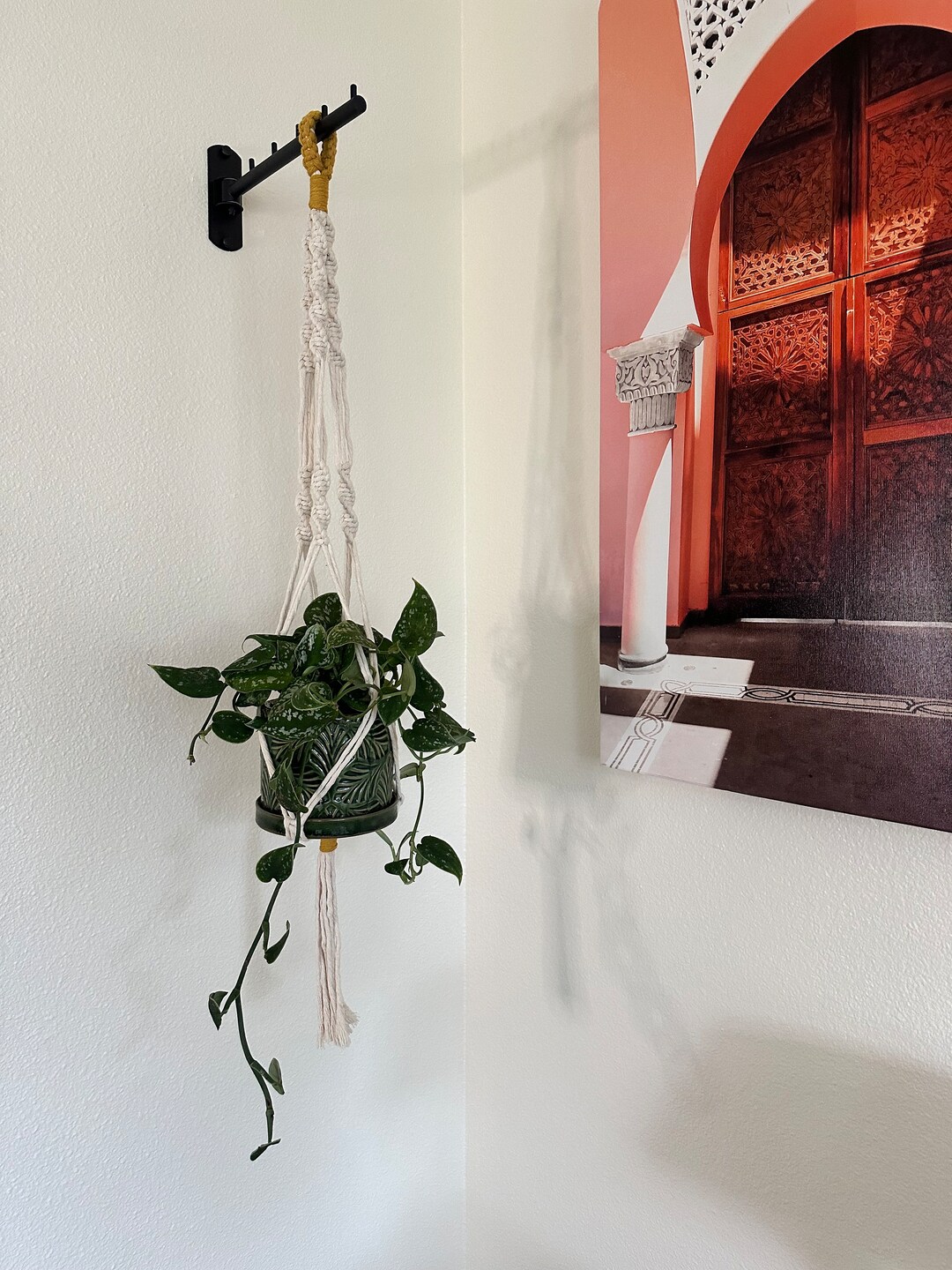 Long Plant Hanger | Macramé Plant Hanger | Cotton Plant Hanger - Etsy