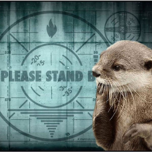 Funny Backdrop for Zoom - Etsy