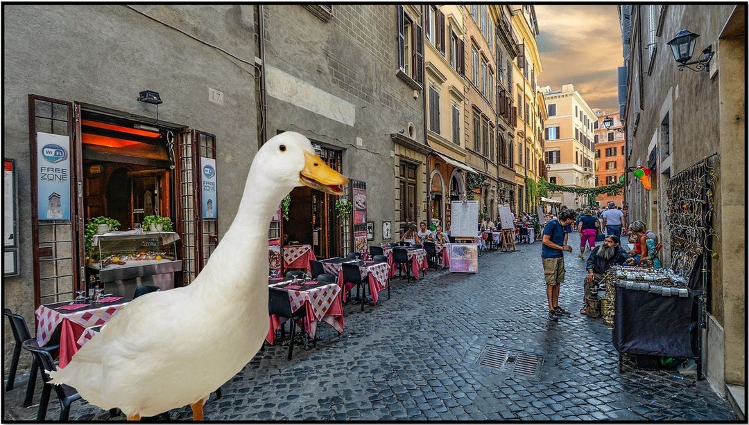 ZOOM VIRTUAL BACKGROUND Rome Café for Online Meetings, Professional ...