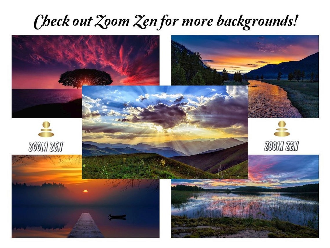 ZOOM VIRTUAL BACKGROUND Funny for Online Meetings, Professional Office ...