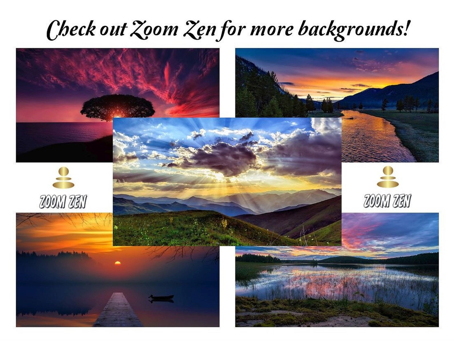 ZOOM VIRTUAL BACKGROUND Funny for Online Meetings, Professional Office ...