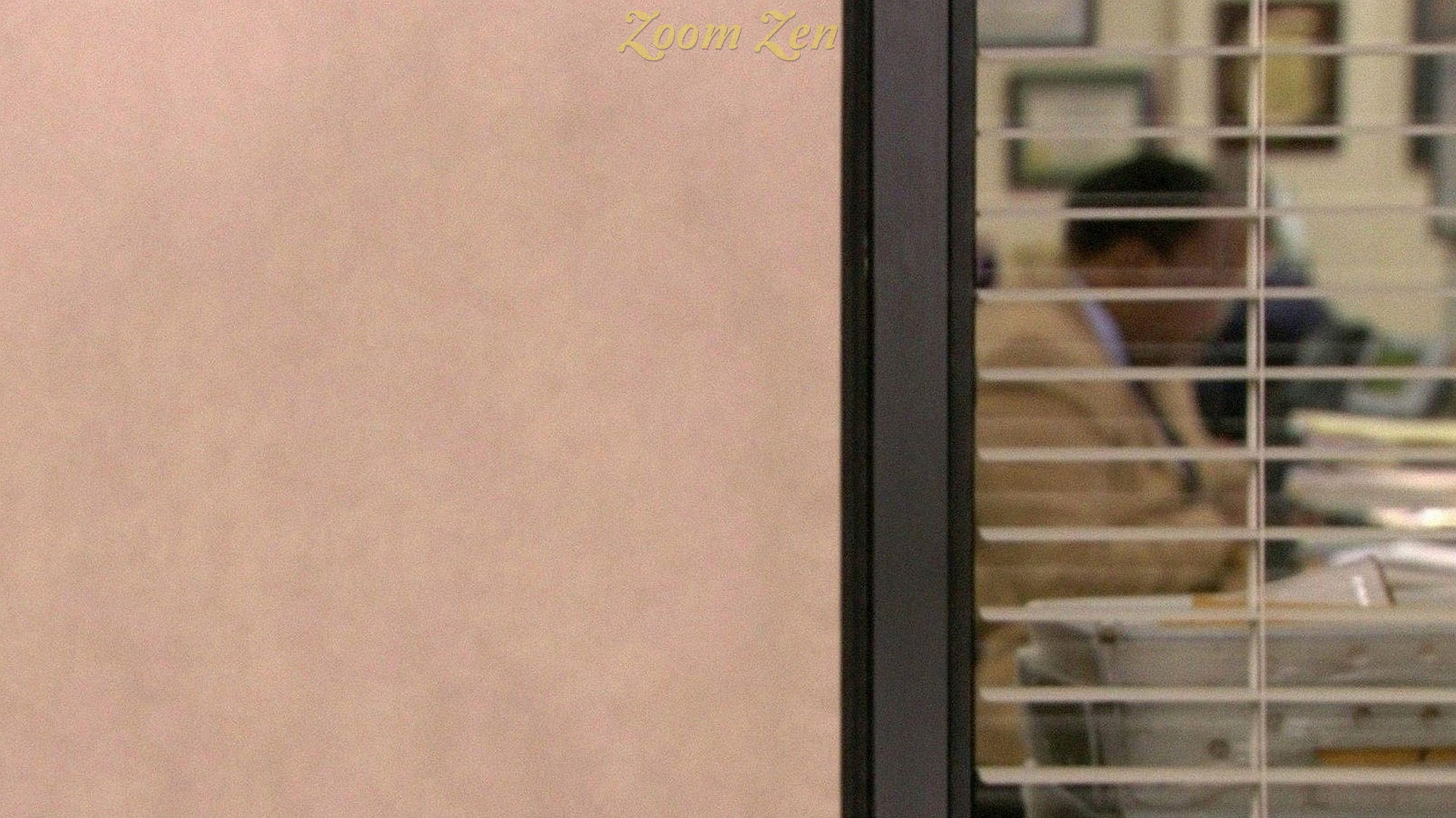 ZOOM VIRTUAL BACKGROUND the Office for Online Meetings, Professional ...
