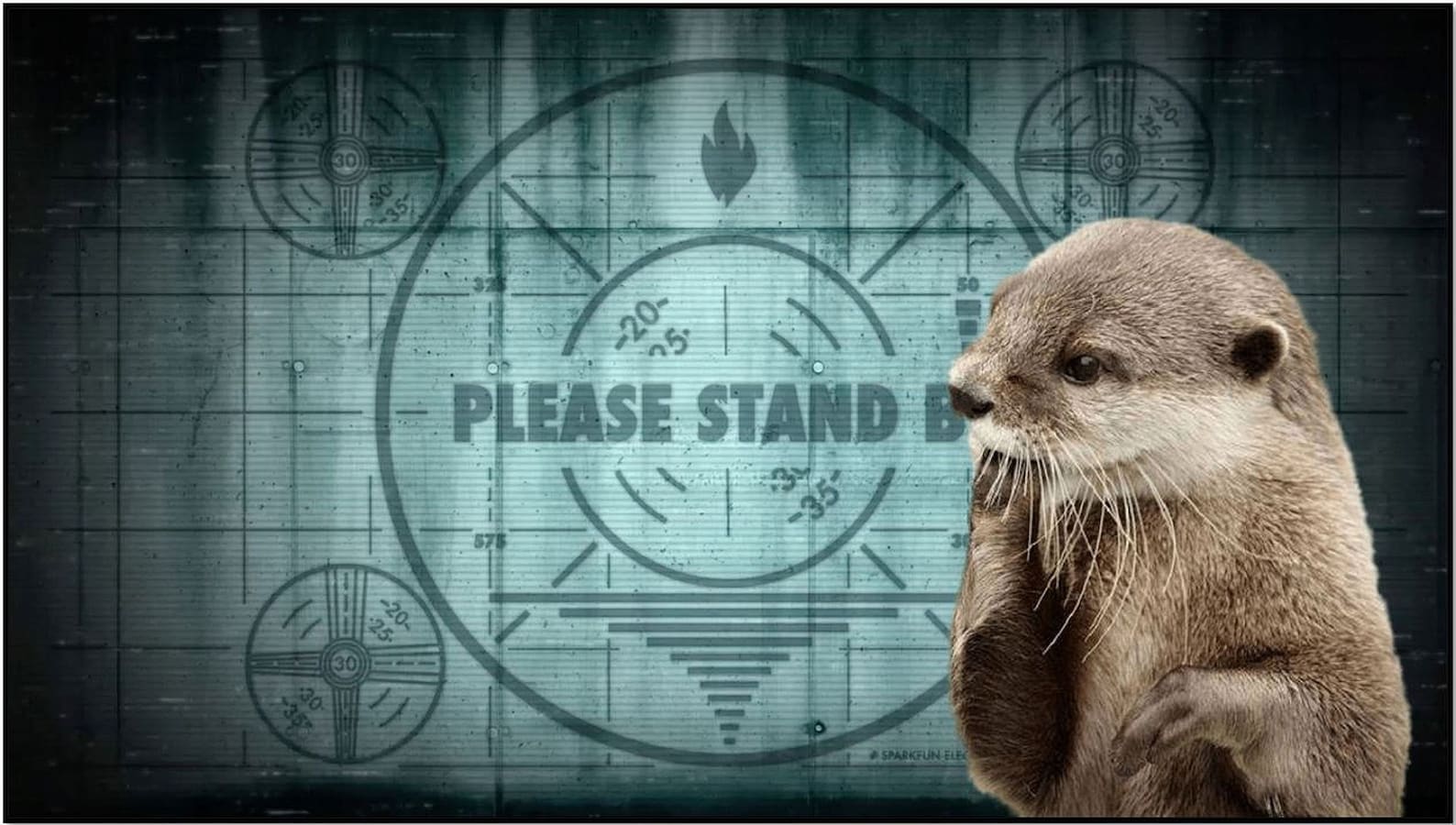 ZOOM VIRTUAL BACKGROUND Funny for Online Meetings, Professional Office ...