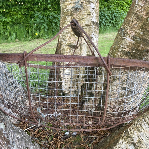 Chicken Wire Basket - Etsy