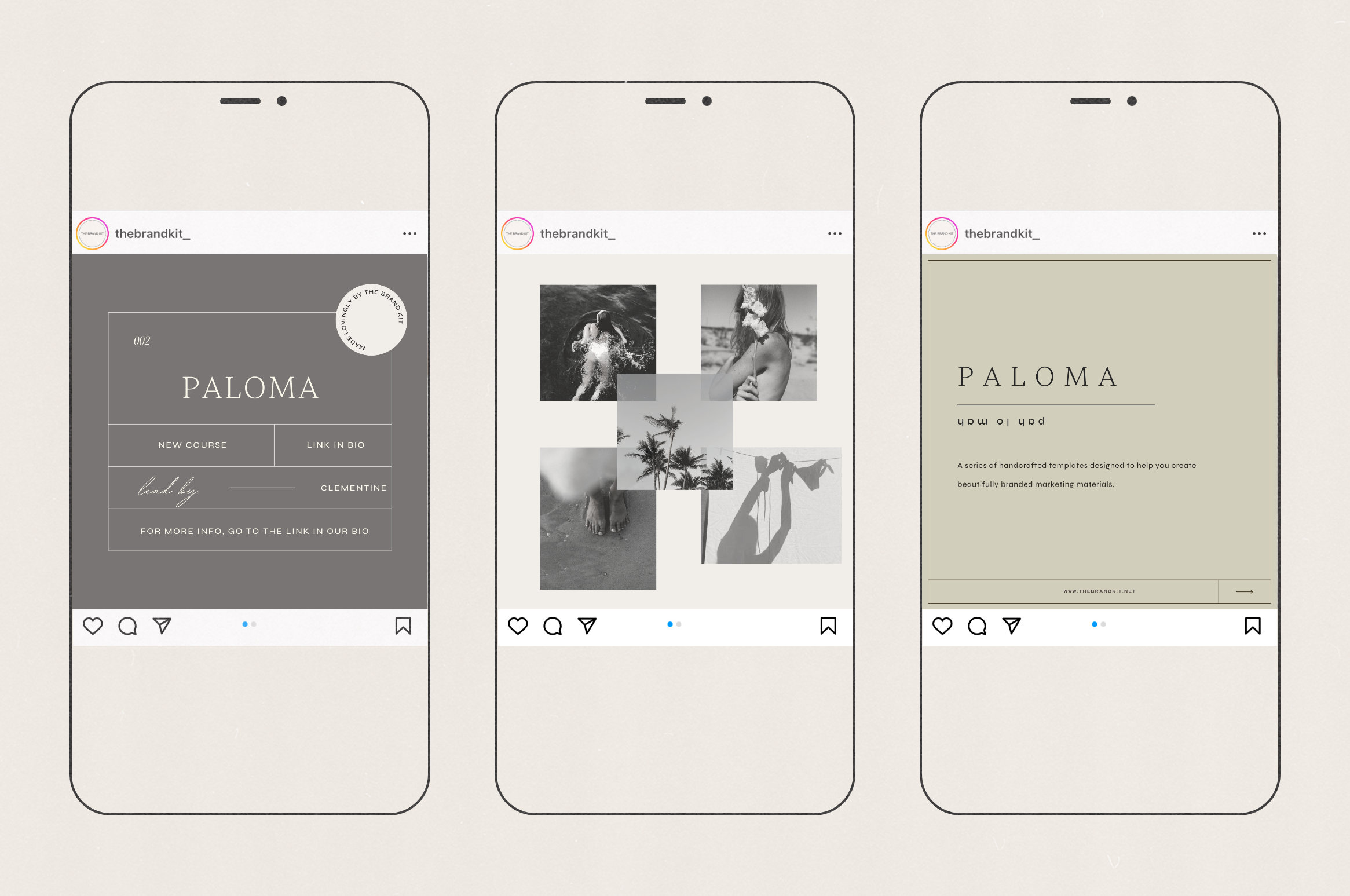 Paloma Social Media Kit | Social Media Template | Small Business ...