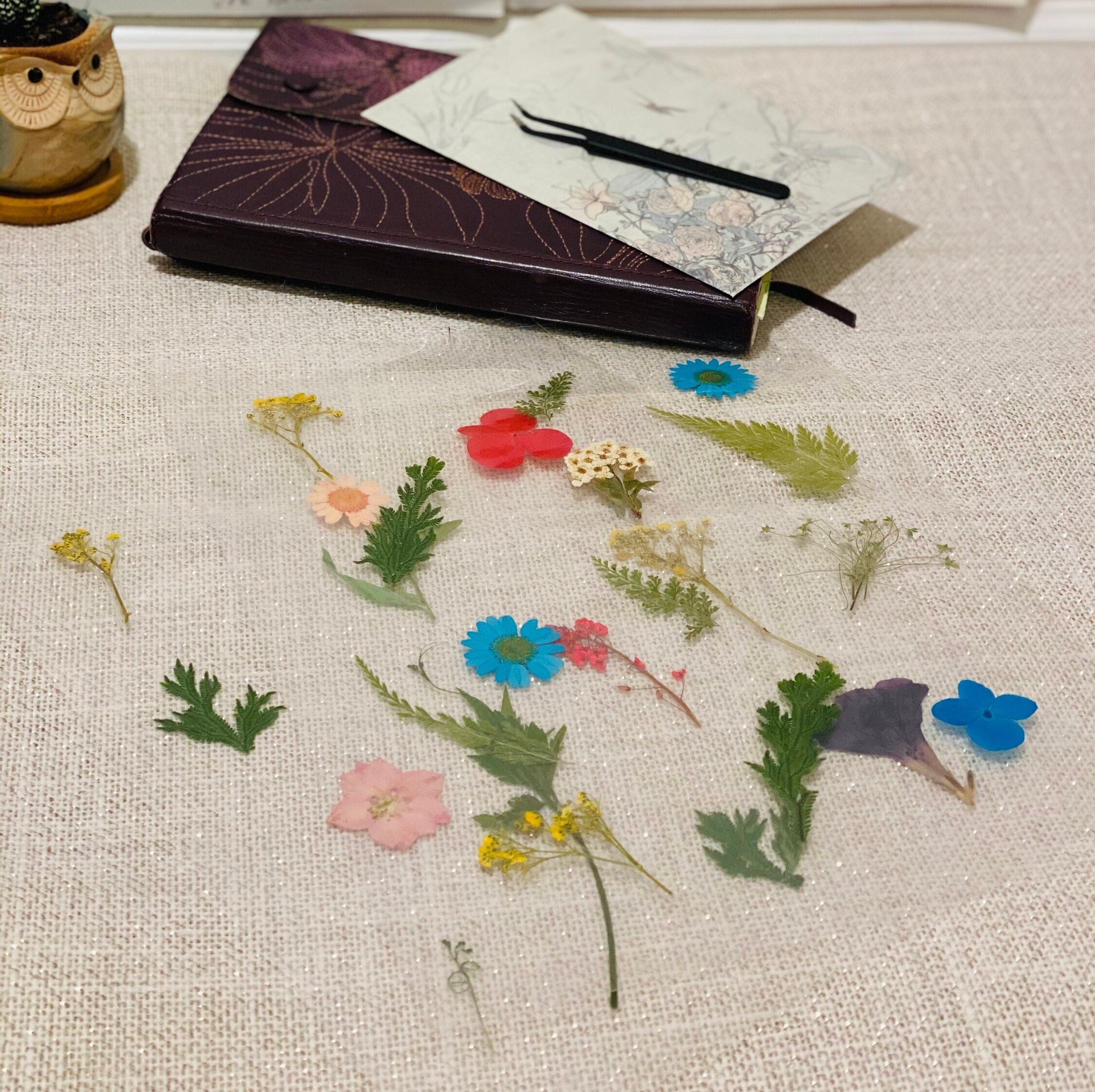 Real Pressed Flower Laminated Sheets Card Making Junk - Etsy