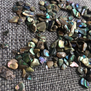 Wholesale ! 10-50g Thin and Small Abalone Shell Pieces.abalone Shell ...