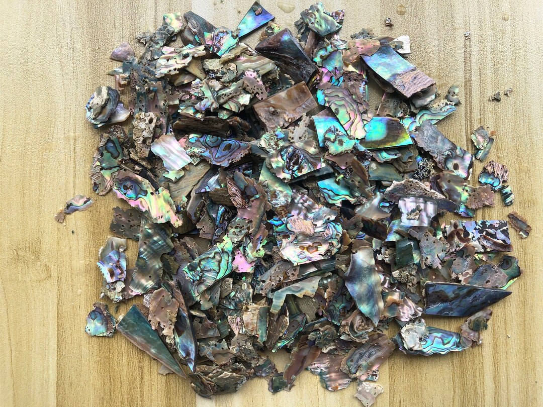Iridescent Abalone Shell Pieces: Thin Slices for Jewelry, Crafts - Etsy