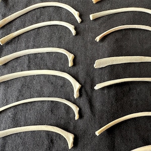 Natural 10 or 20 Fox Ribs, Real Animal Bones,altar Display.spell Work,divination,witchcraft ...