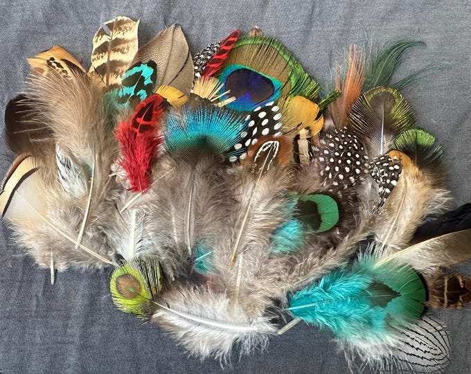 50 Pcs+ - Rooster Saddle Feathers - 2 Inch Strip - Two-tone, Pointy Tip ...