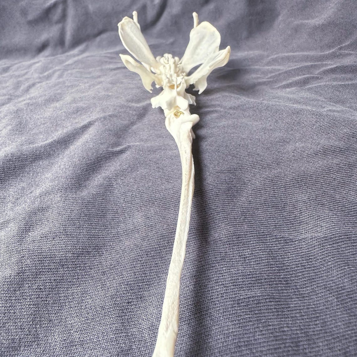 Real Bone Moth, Made From Real Animal Bones.cottagecore,vulture Culture ...
