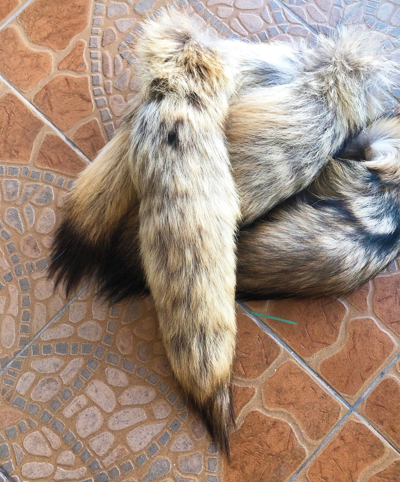 Large Plump Coyote Tails Select 14-18 Soft Fur Silky - Etsy Canada